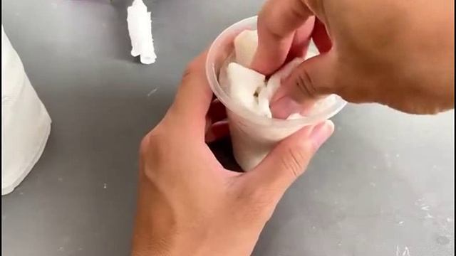 Укореняем веточку бугенвиллеи