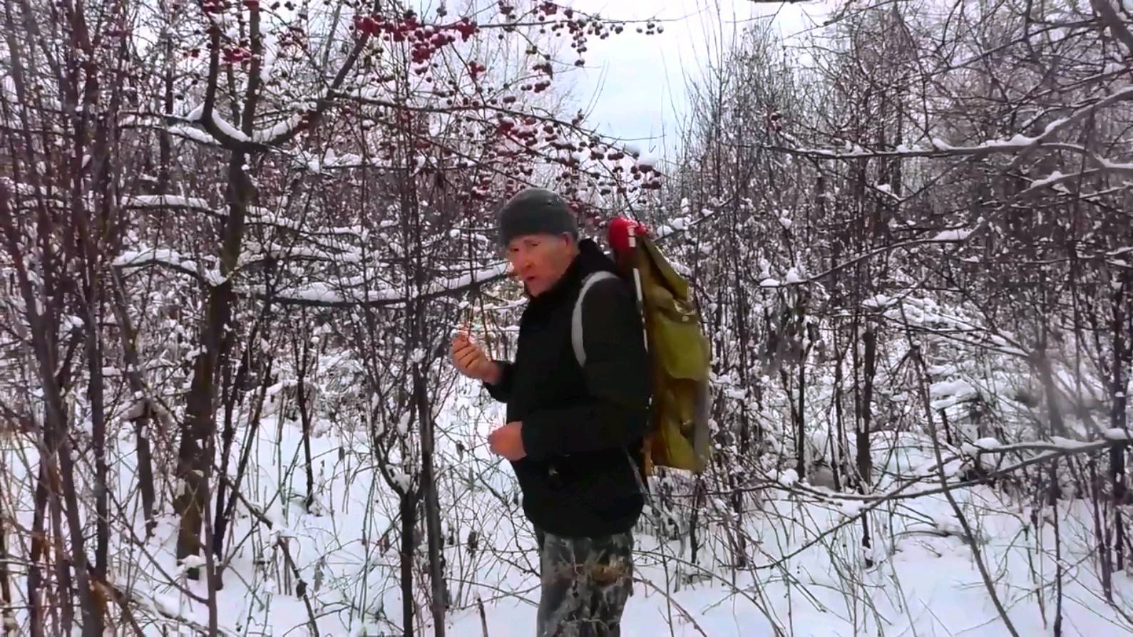 Яблоки на снегу