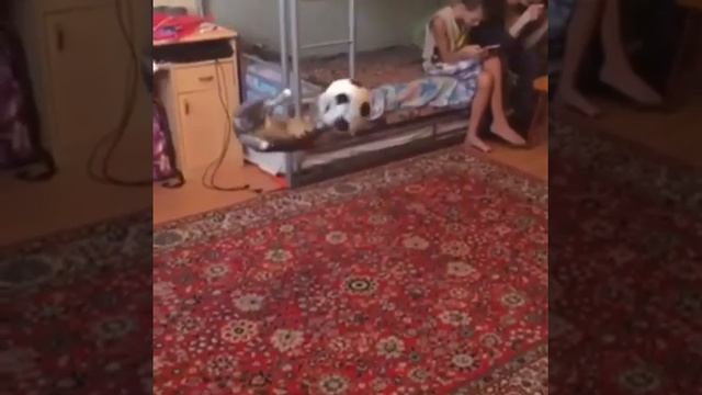 Один из футбольных клубов уже готовит контракт с этим бро