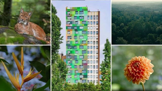 Цвета, цвета!