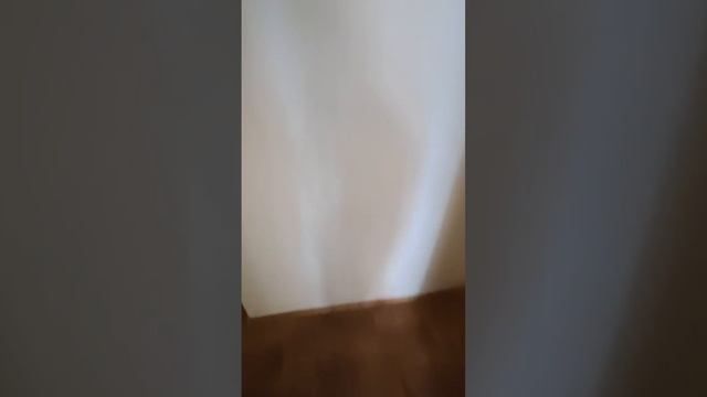 Достоевского 30 ком 2