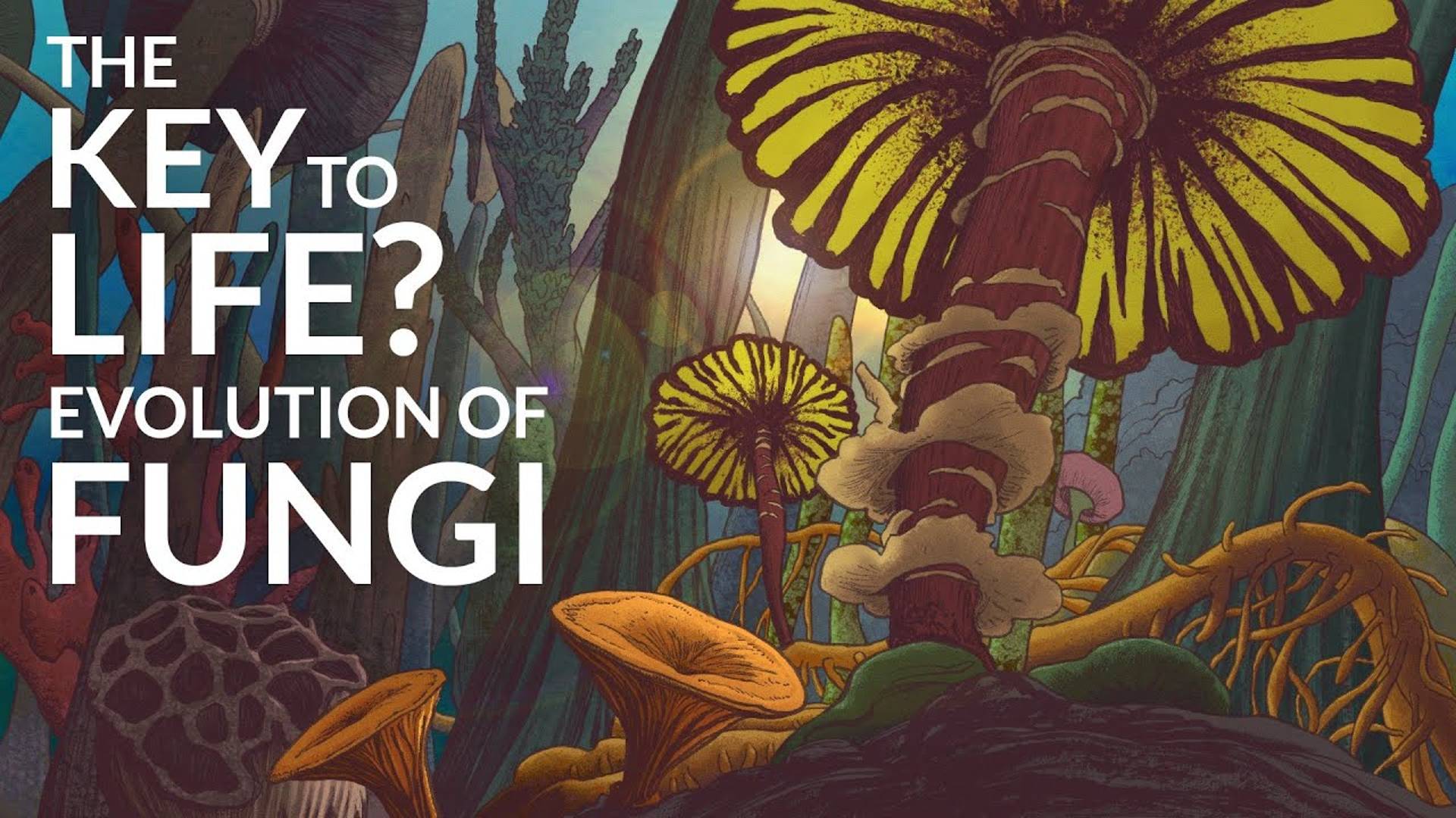 Эволюция грибов (What Was The First Fungus?)