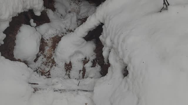 Землянки больше НЕТ | ВАРВАРЫ посетили ЗЕМЛЯНКУ | ПОСЛЕДНИЙ ВЫПУСК ☀ 30.11.24