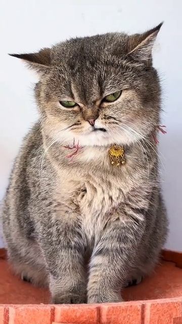 Коротко о моём настроении