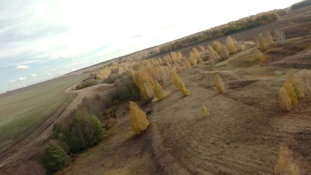 Вещание Гамаюна. Фильм третий. Балобан.