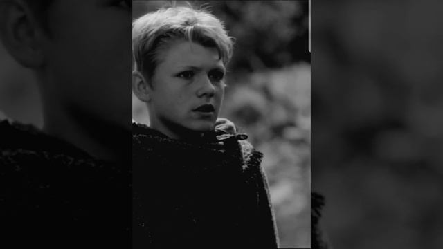 Рагнар Лодброк и Бьерн Железнобокий