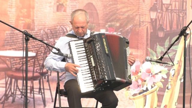 КОНЦЕРТ аккордеониста Владимира НИКУЛИНА 23.07.19