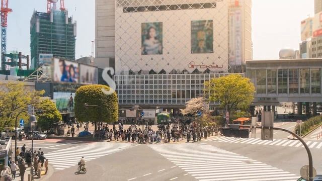 Get involved A1+ unit 1 Vocabulary