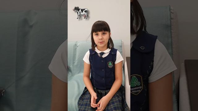 Йорт хайваннары