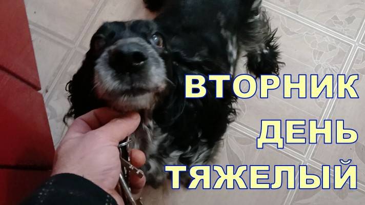 ВТОРНИК ДЕНЬ ТЯЖЕЛЫЙ 🙃🙃