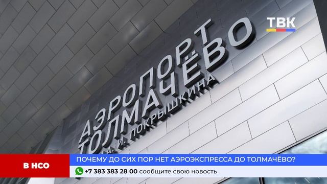 Программа "Дайджест" 28-01-25