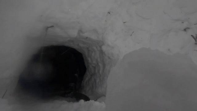История одной снежной норки