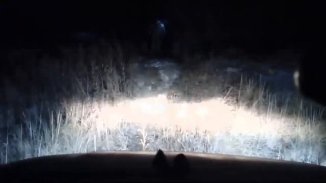 Ночь На Понижайке