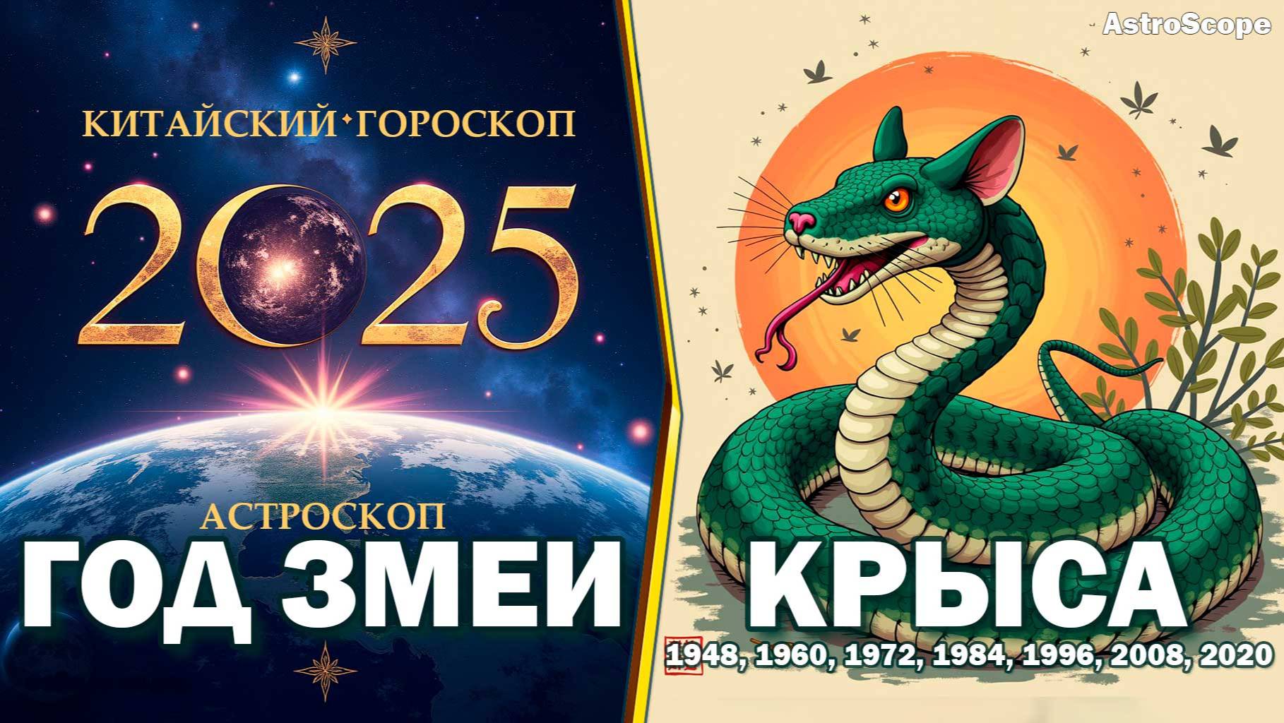 🌿 2025: Стратегия Змеи для успеха Крысы