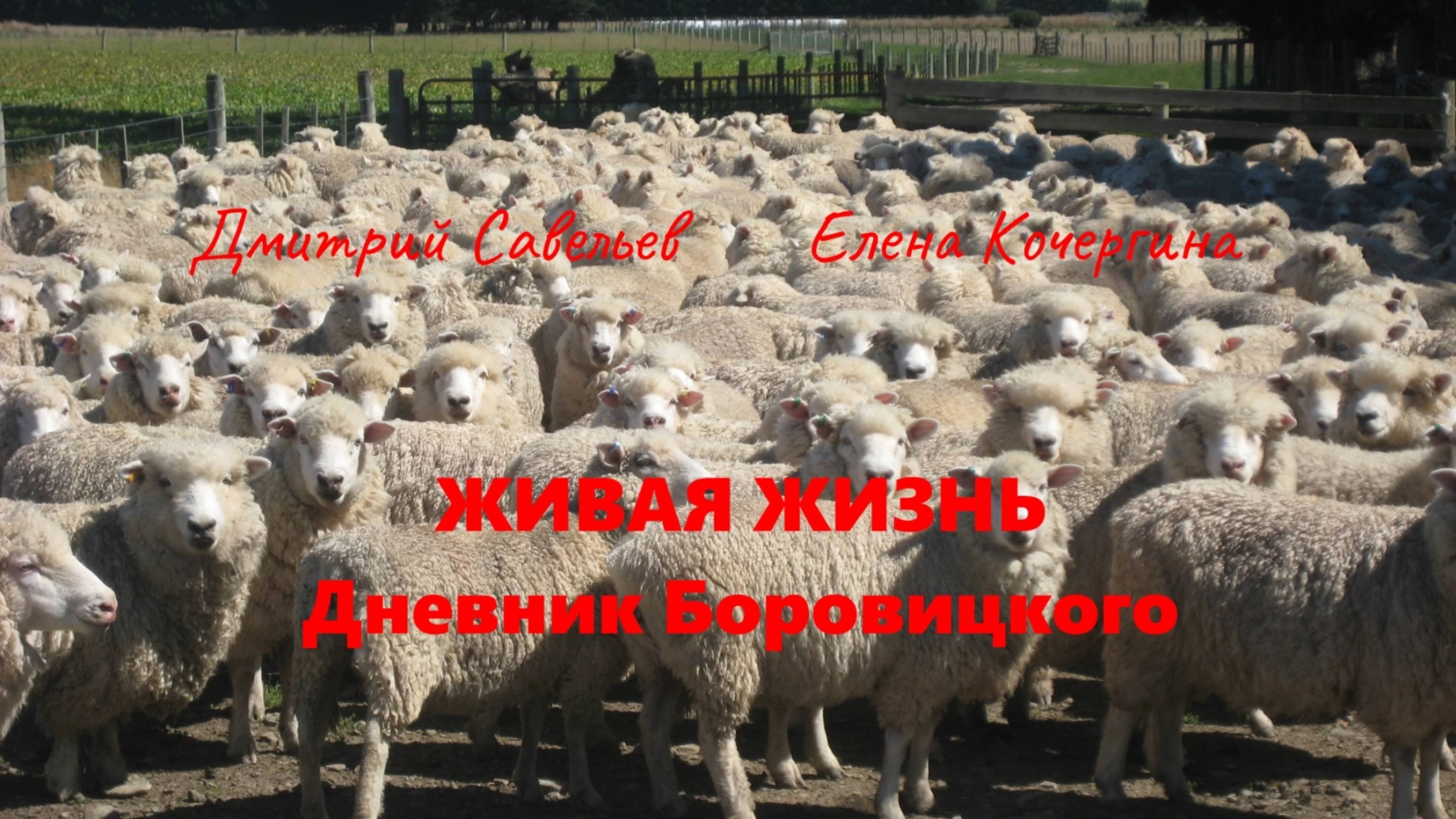 Живая Жизнь. Дневник Боровицкого (Дмитрий Савельев, Елена Кочергина). Ч. 42