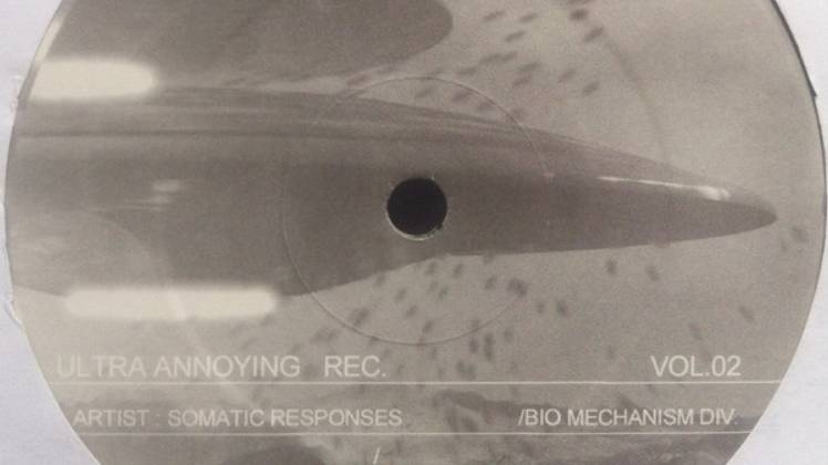 Somatic Responses - High Approach