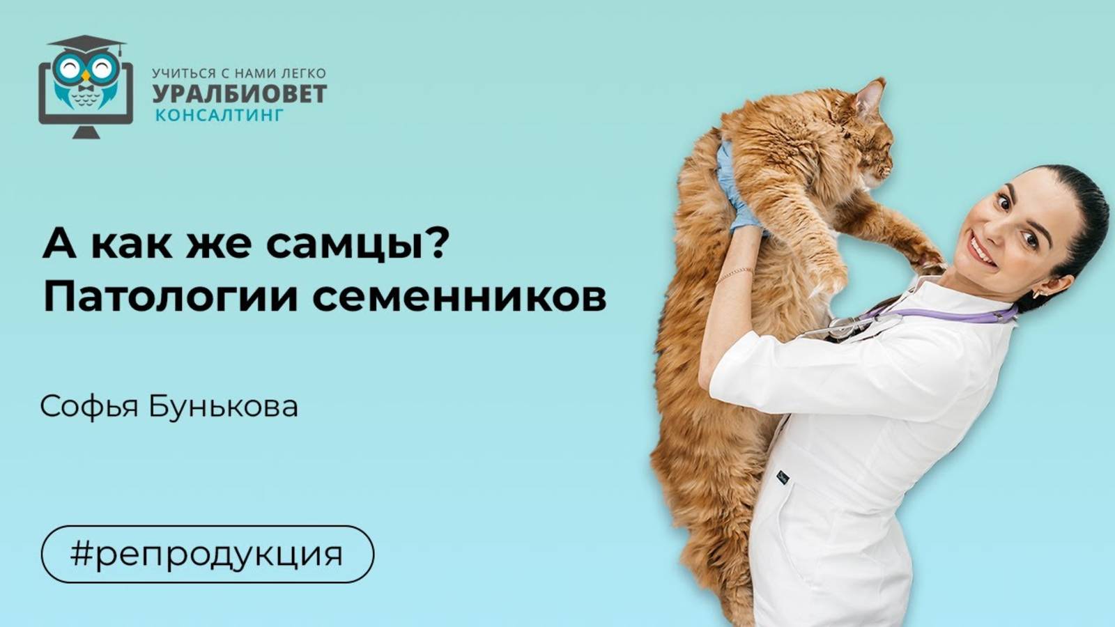 А как же самцы? Патологии семенников, лектор Софья Бунькова