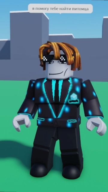 Типичный Симулятор Питомцев в Роблокс #shorts