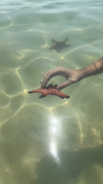 Пляж морских звёзд на острове Фукуок