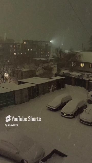 Зима пришла, второй раз. Находка