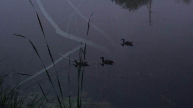 Рыбалка с ночевкой в черте города на фидер!