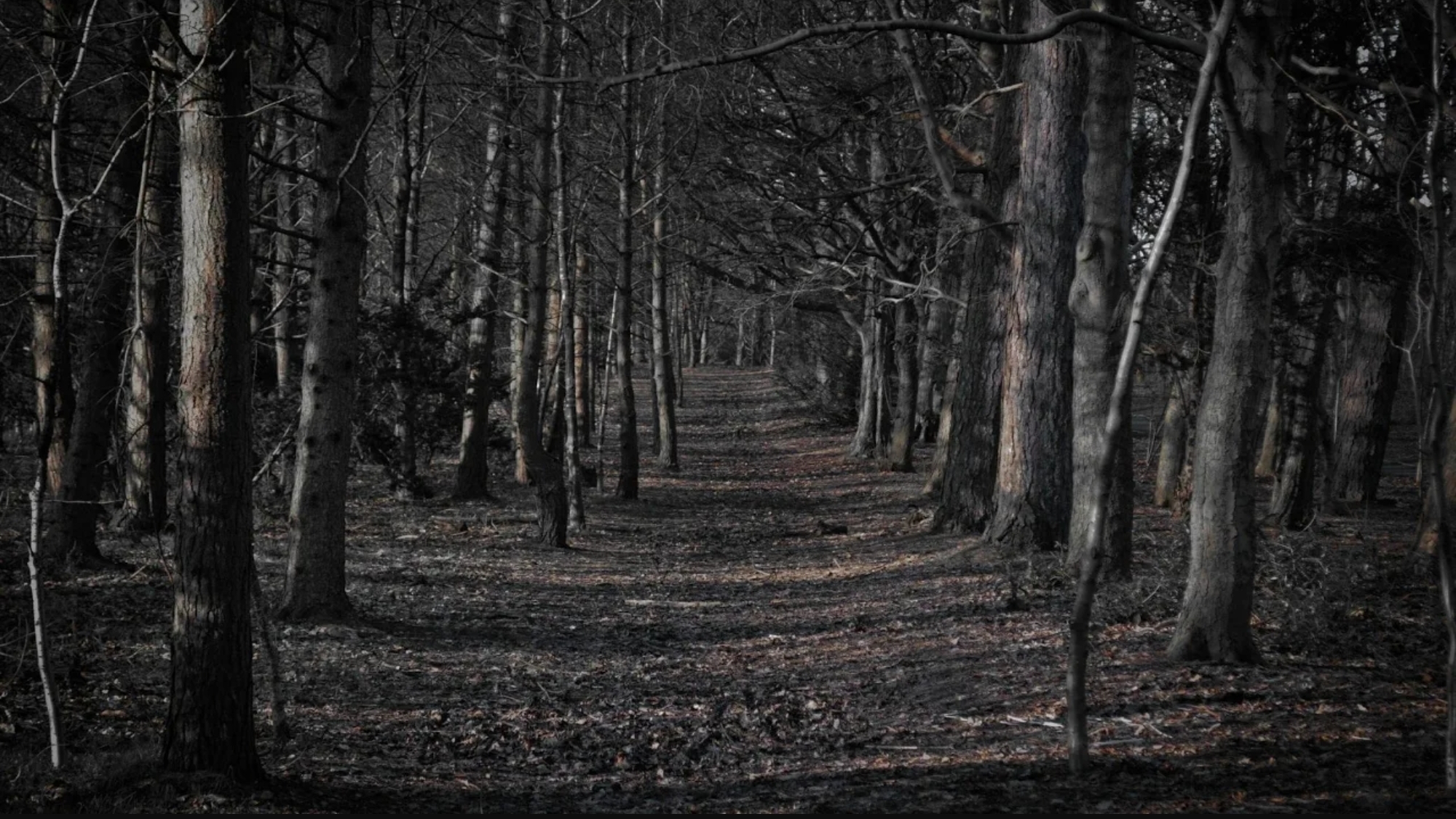 МИНИ - МУЛЬТИК 6 СЕРИЯ "ЕГОР ЗАБЛУДИЛСЯ В ЛЕСУ"