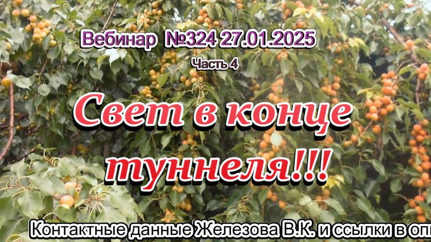 Железов Валерий. Вебинар 324. ч.4. Свет в конце туннеля!!!