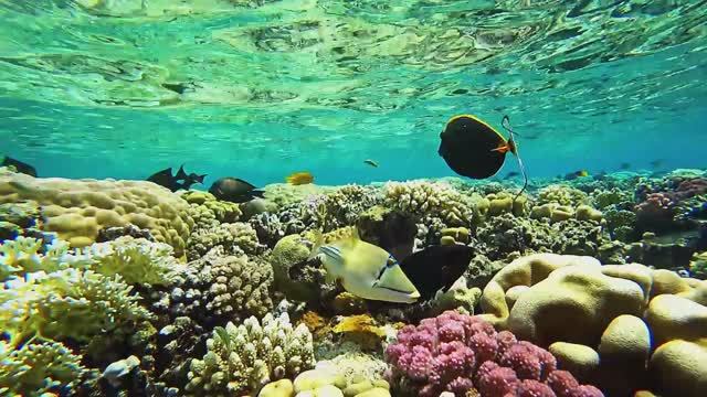 Египет 2023 №1