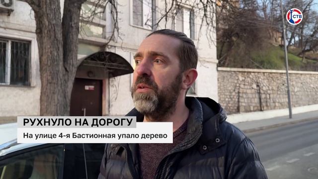 На улице 4-я Бастионная дерево упало на автомобиль (Дежурный по городу. 28 января 2025)