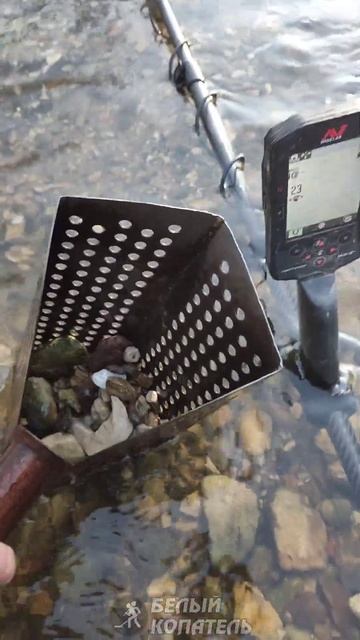 Minelab Manticore уже окупается ✌️