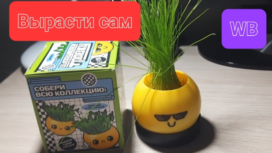 Покупки с Валберис 💜 вырасти свое растение