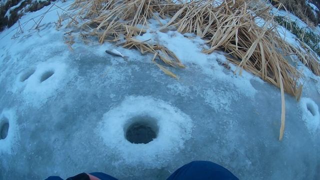 Предновогодняя рыбалка!!!Прощай 2020 год!!!