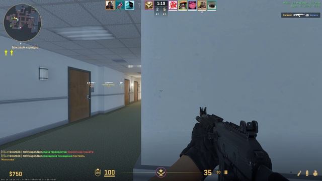 COUNTER-STRIKE 2 - КРОКОДИЛЫ БЕГЕМОТЫ!