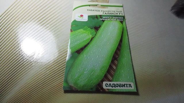 Кабачки «Галакси» — стоит ли сажать гибрид от Садовита?