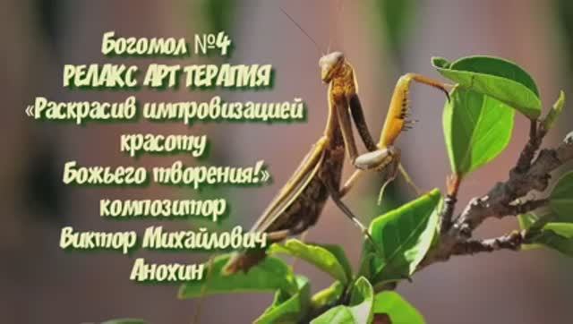 МУЗЫКА «БОГОМОЛ №4» ИМПРОВИЗАЦИЯ фортепиано композитор Виктор Анохин #viktorjazz #newmusic #reggae