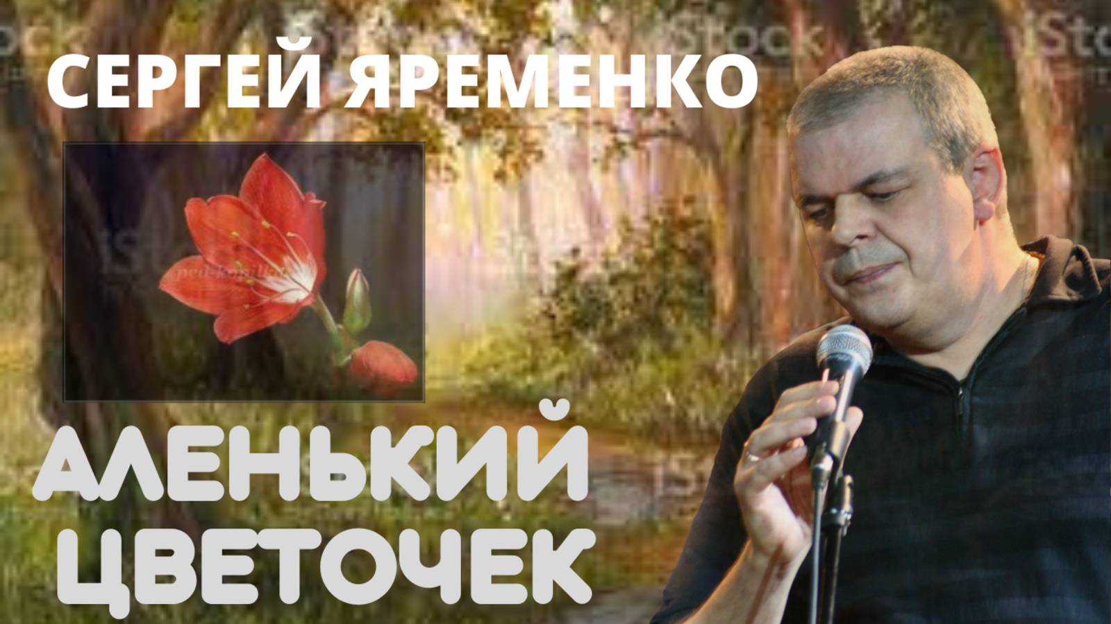 Цветочек аленькийГотовое..mp4