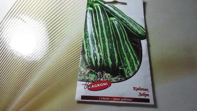Обзор кабачка Зебра от «СПК АГРОНИ»: особенности сорта, посадка и уход