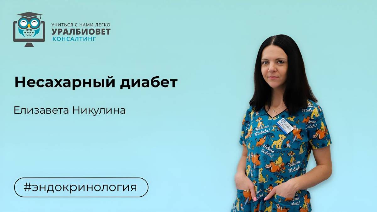 Несахарный диабет, лектор Елизавета Никулина