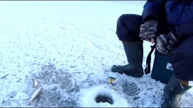 Первый лёд 2022г.Ловим плотву,густеру.