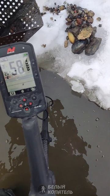 Находки с металлоискателем Minelab Manticore