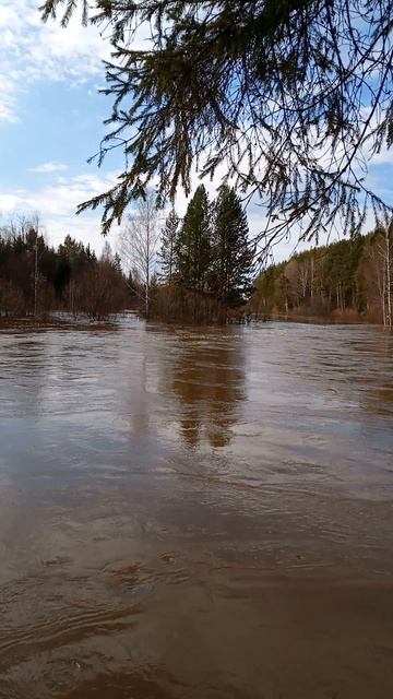 Река Тура весна 2024.