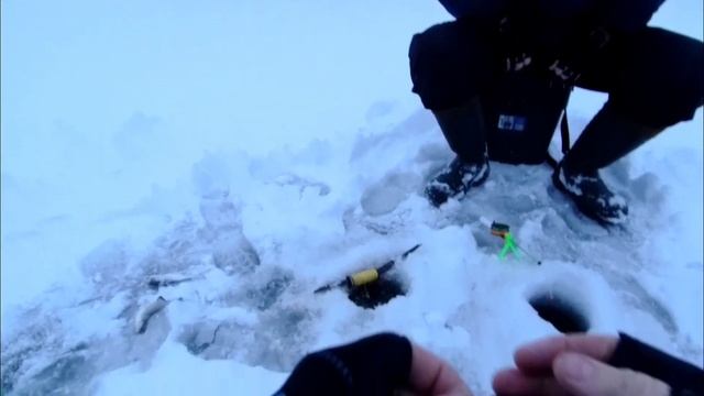 Рыбалка на тесто. 11декабря.