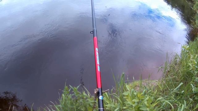 Рыбалка на удочку на реке Паденьга.