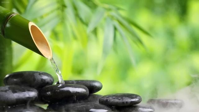 videoplayback (4).mp4