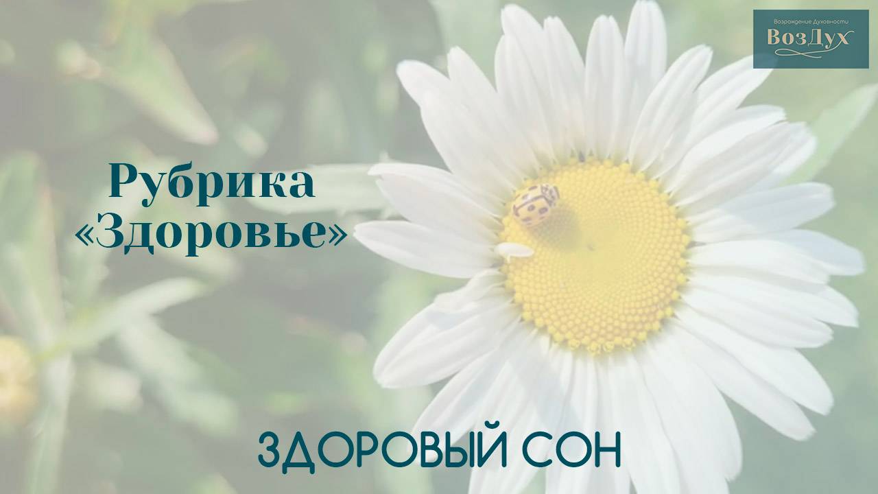 Здоровый сон | Самочувствие | Татьяна Бекаревич