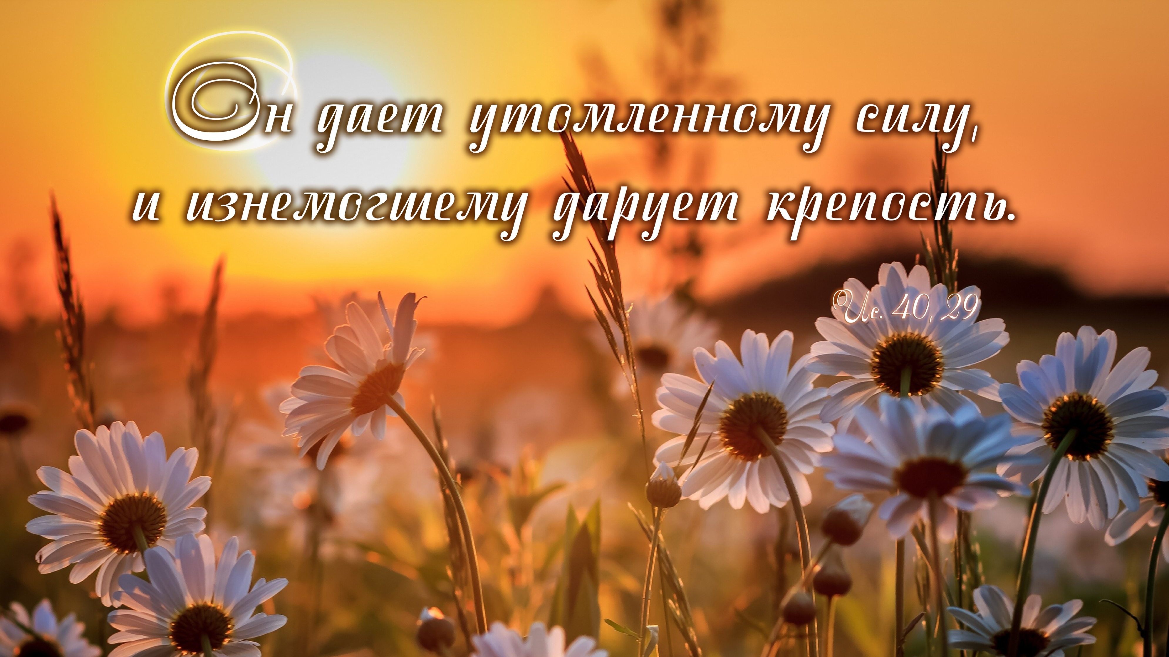 Дай силы жить... | стихи христианские