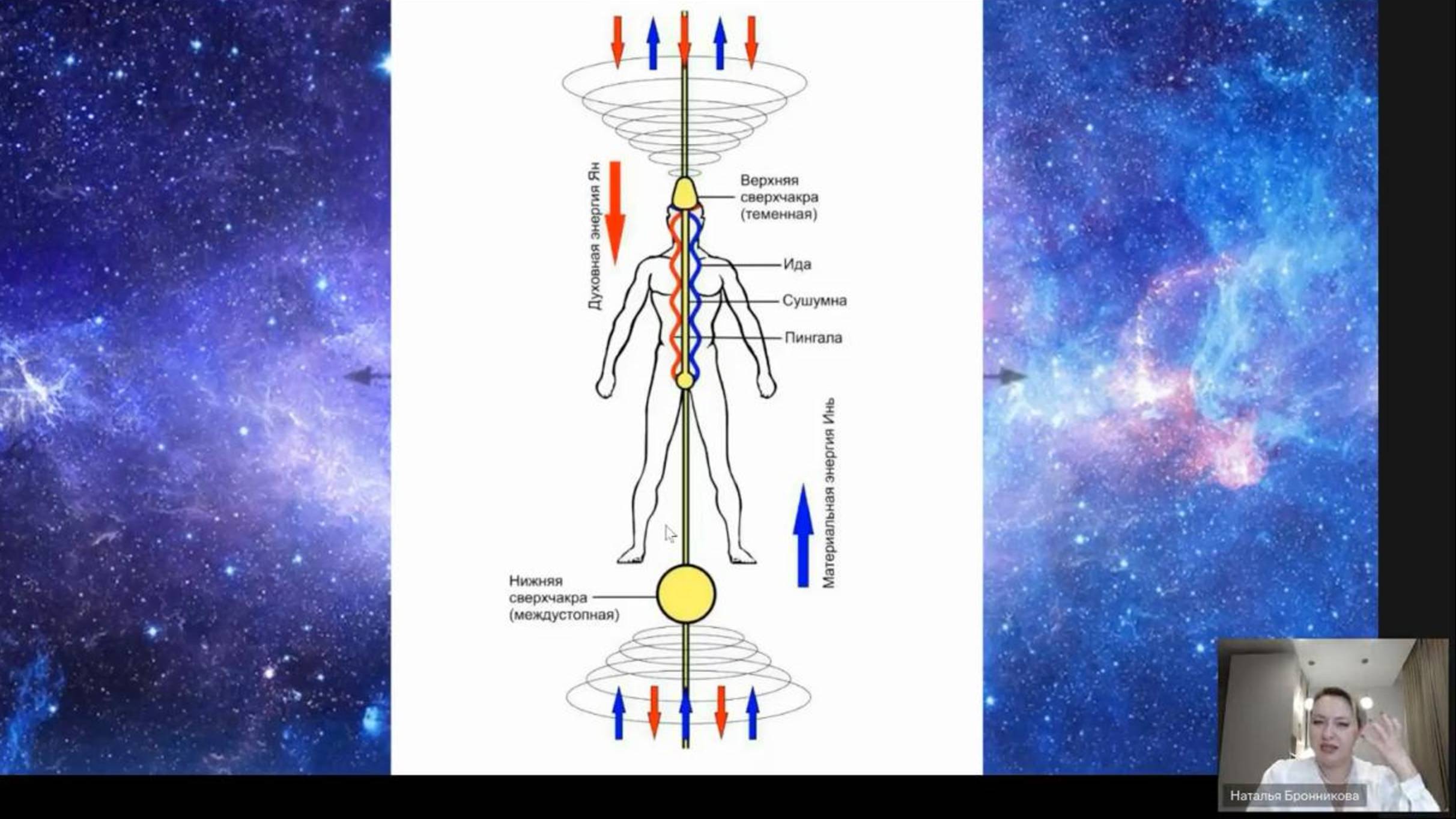 Открытое теоретическое занятие 1 ступень