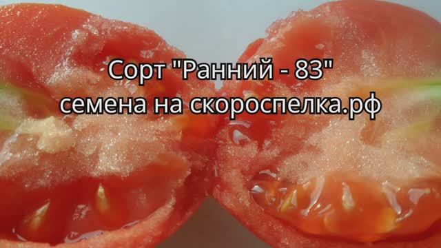 Замечательный раннеспелый томат "Ранний 83" Советский сорт, ровесник "Белого налива" и "Москвича"