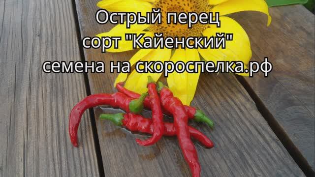 "Кайенский" Острый перчик первым созреет у Вас на даче под открытым небом Семена у нас