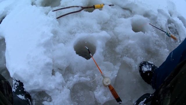 Пробуем ловить на тесто,середина февраля.